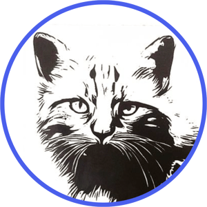 Top 10 Blockchain Hacking Techniques of 2022